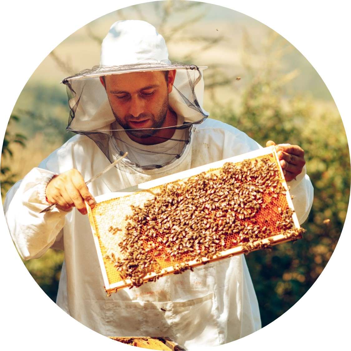 Who is affected by the German Packaging Act?